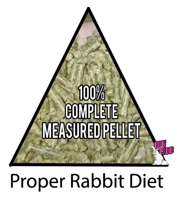 Rabbit Feeding Guide - Bun Club Wiki